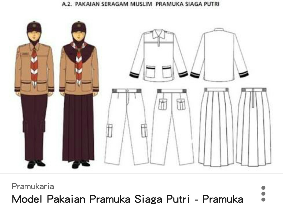 Detail Gambar Seragam Pramuka Koleksi Nomer 11