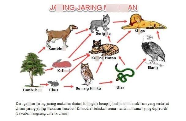 Halaman Unduh untuk file Gambar Serigala Jaring Jaring yang ke 3 Halaman Unduh untuk file Gambar Serigala Jaring Jaring yang ke 3