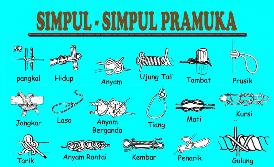 Gambar Simpul Pramuka - 51+ Koleksi Gambar Gambar Simpul Pramuka - 51+ Koleksi Gambar