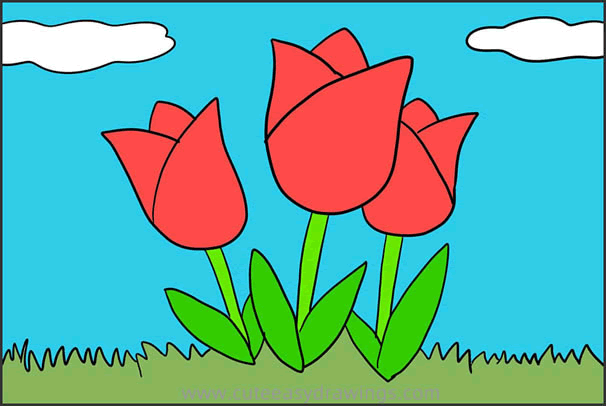 Detail Gambar Sketsa Bunga Tulip Berwarna Koleksi Nomer 41 Detail Gambar Sketsa Bunga Tulip Berwarna Koleksi Nomer 41