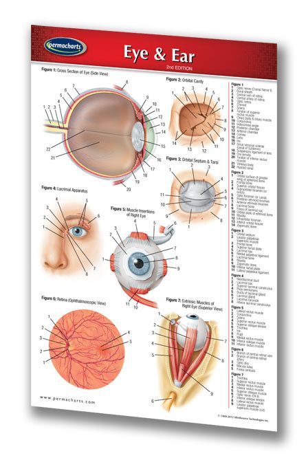 Detail Gambar Snellen Chart Full Hd Koleksi Nomer 49 Detail Gambar Snellen Chart Full Hd Koleksi Nomer 49
