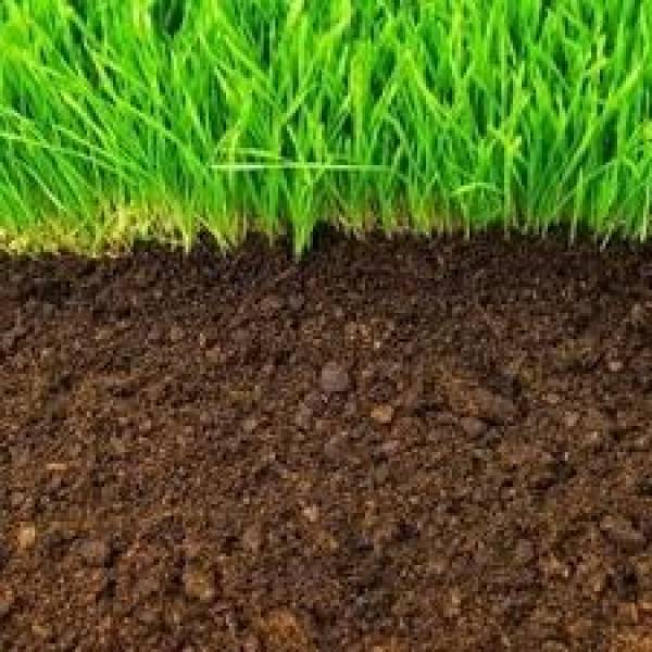 Gambar Tanah Tidak Subur - 55+ Koleksi Gambar Gambar Tanah Tidak Subur - 55+ Koleksi Gambar