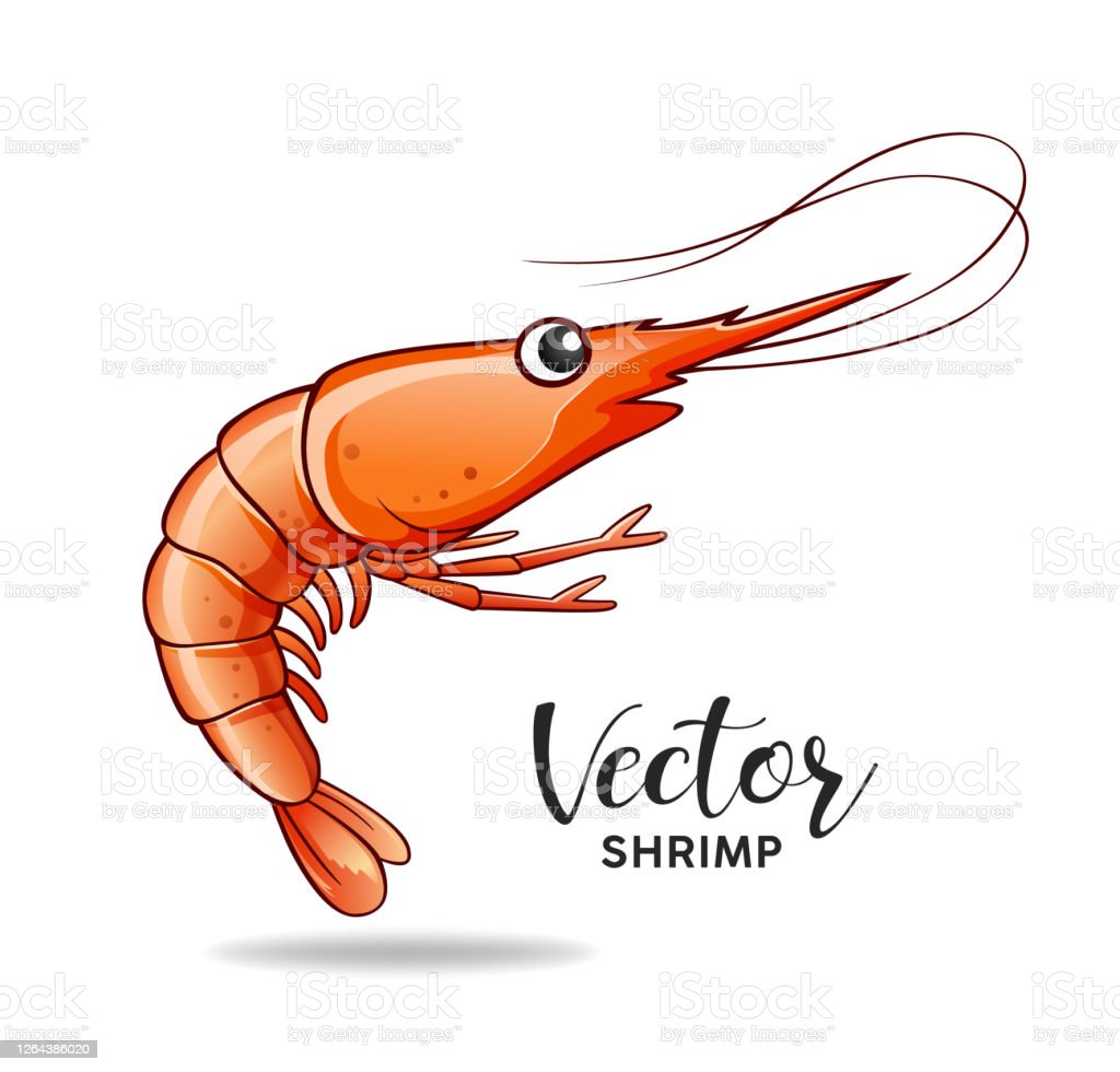 Detail Gambar Udang Vector Koleksi Nomer 3