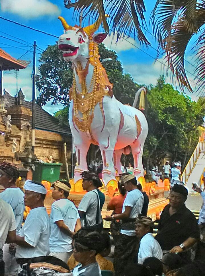 Detail Gambar Upacara Ngaben Di Bali Koleksi Nomer 19 Detail Gambar Upacara Ngaben Di Bali Koleksi Nomer 19