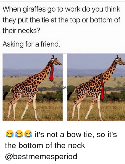 Giraffe Tie Meme 55 Koleksi Gambar