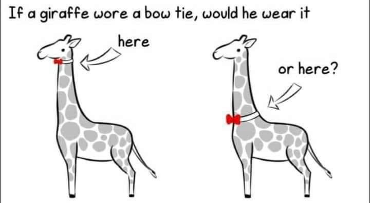Giraffe Tie Meme 55 Koleksi Gambar