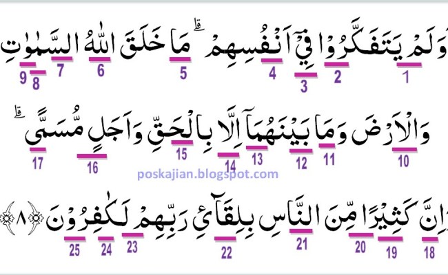 Detail Hukum Bacaan Surat Al Insyirah Koleksi Nomer 16 Detail Hukum Bacaan Surat Al Insyirah Koleksi Nomer 16