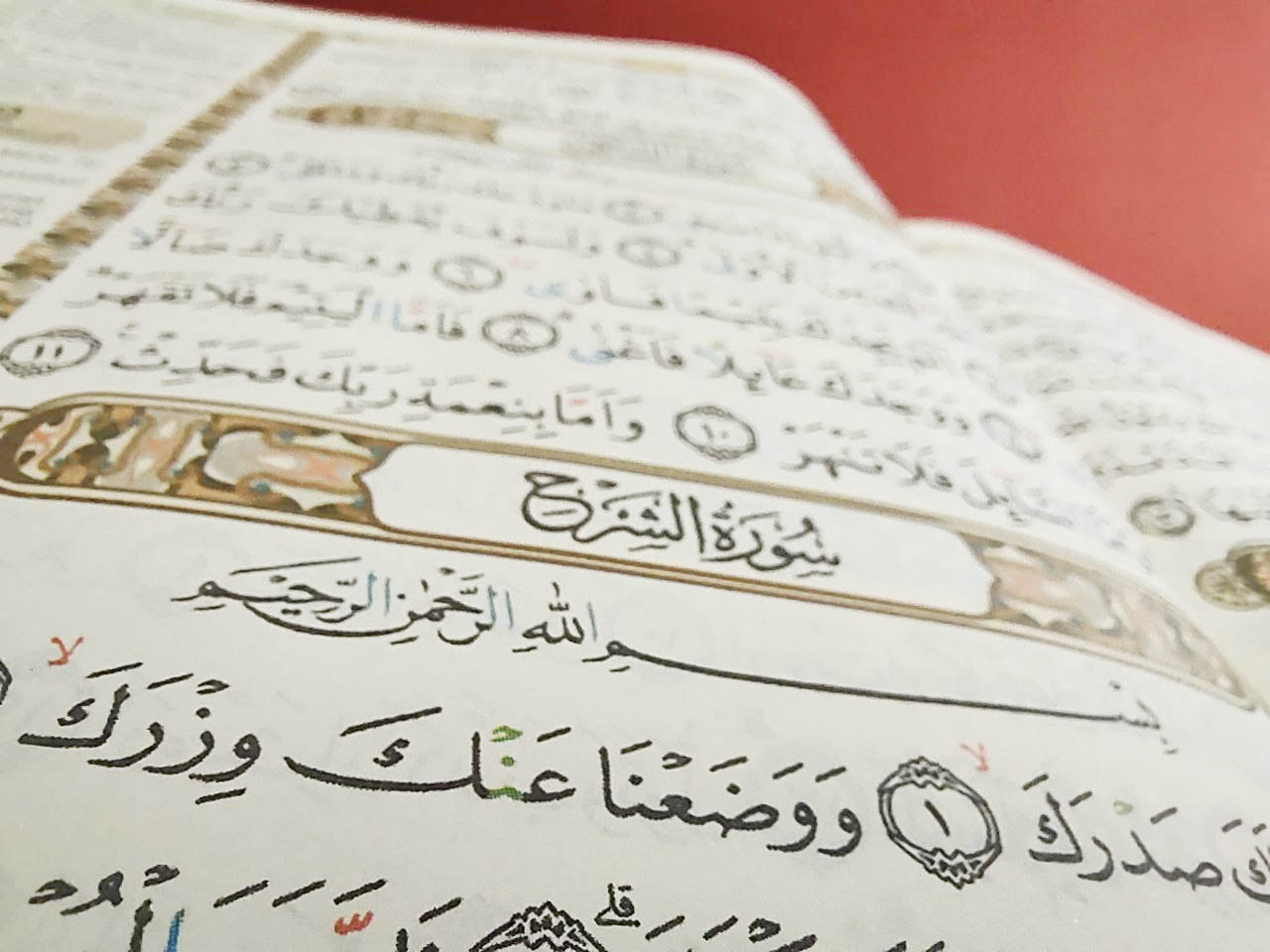 Detail Hukum Bacaan Surat Al Insyirah Koleksi Nomer 25 Detail Hukum Bacaan Surat Al Insyirah Koleksi Nomer 25