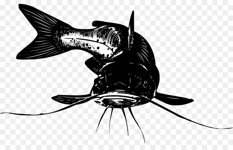 Detail Ikan Lele Vector Png Koleksi Nomer 16 Detail Ikan Lele Vector Png Koleksi Nomer 16