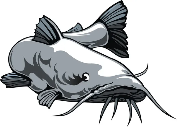 Ikan Lele Vector Png 45 Koleksi Gambar