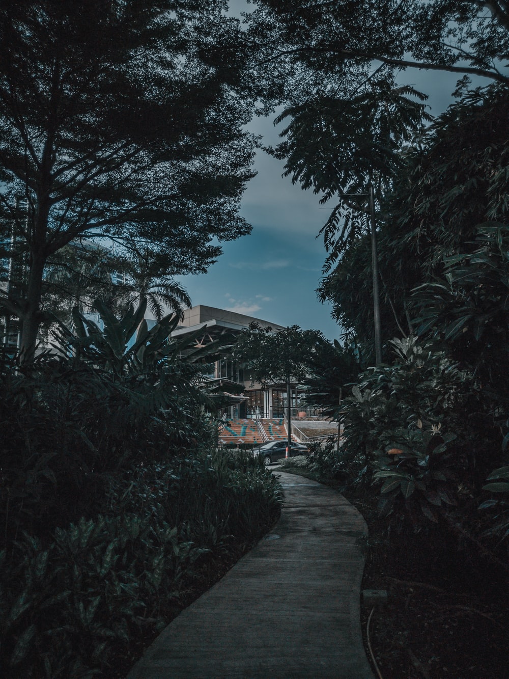 Detail Mentahan Background Aesthetic Koleksi Nomer 4