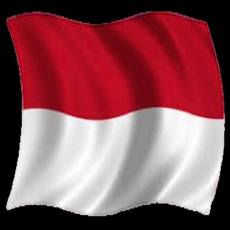Mentahan Gambar Bendera Merah Putih 56 Koleksi Gambar