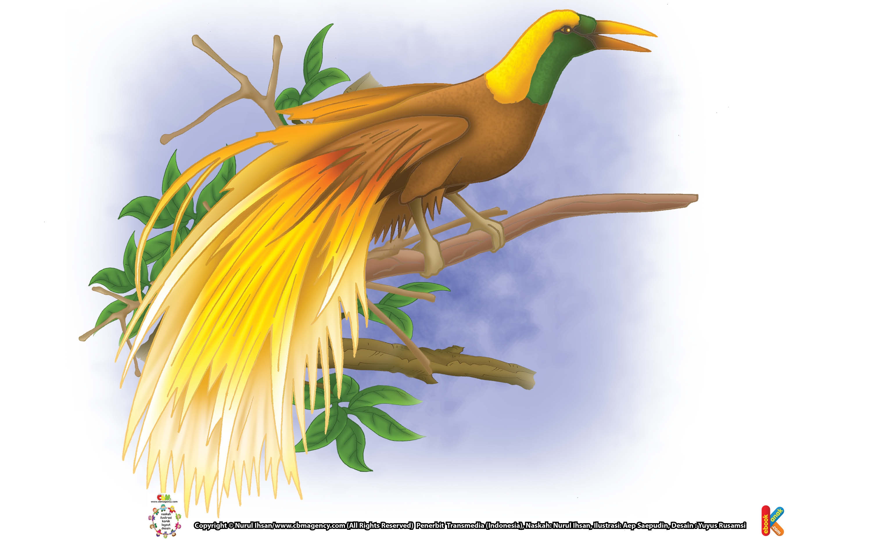 Detail Mewarnai Gambar Burung Cendrawasih Koleksi Nomer 12