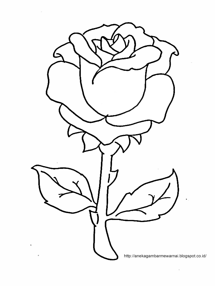Mewarnai Gambar Mawar Mewarnai Gambar Mawar