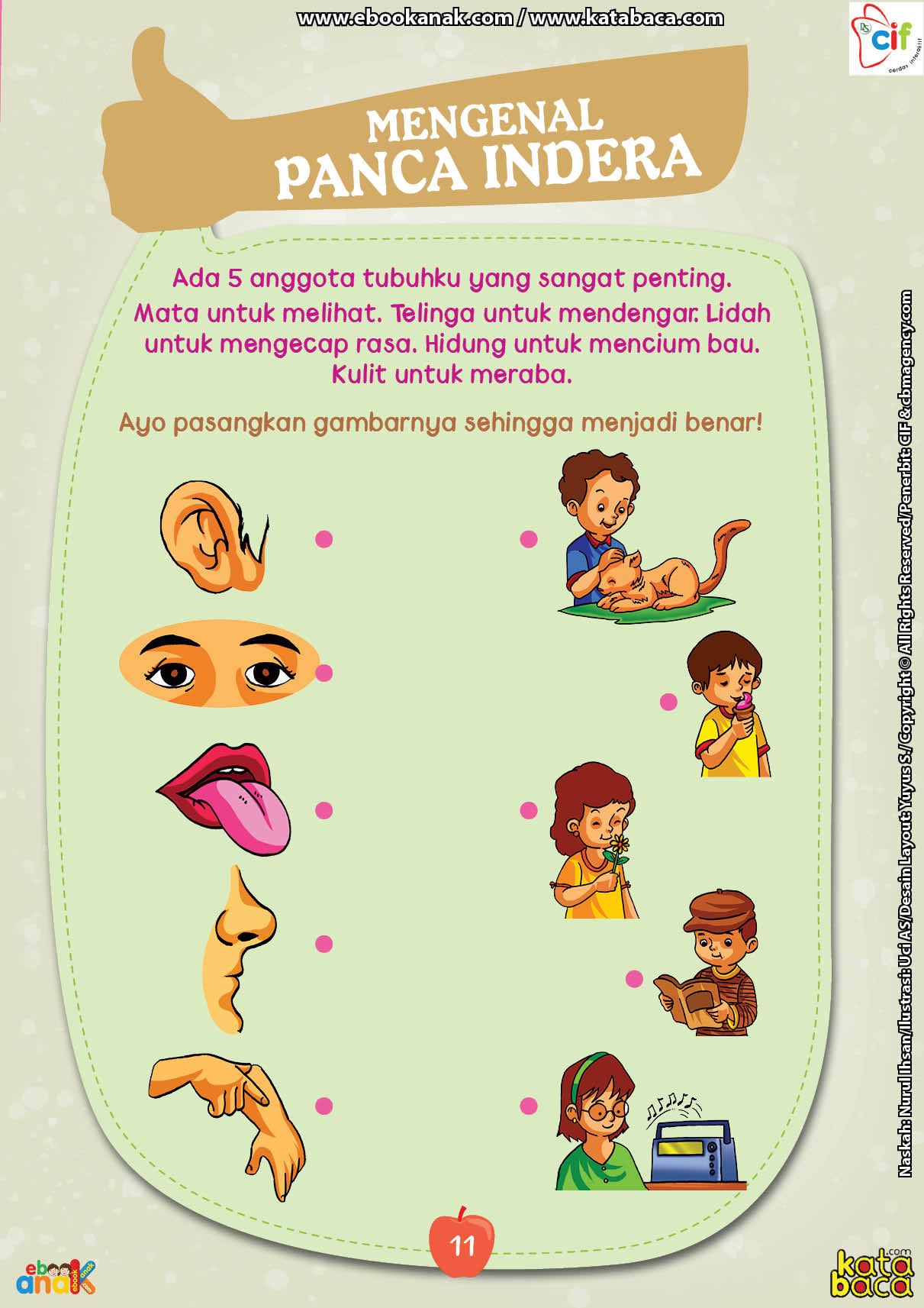 Detail Mewarnai Gambar Panca Indera Koleksi Nomer 11 Detail Mewarnai Gambar Panca Indera Koleksi Nomer 11