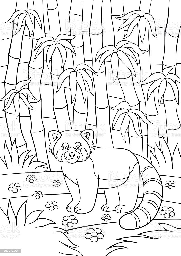 Detail Mewarnai Gambar Panda Lucu Koleksi Nomer 42 Detail Mewarnai Gambar Panda Lucu Koleksi Nomer 42