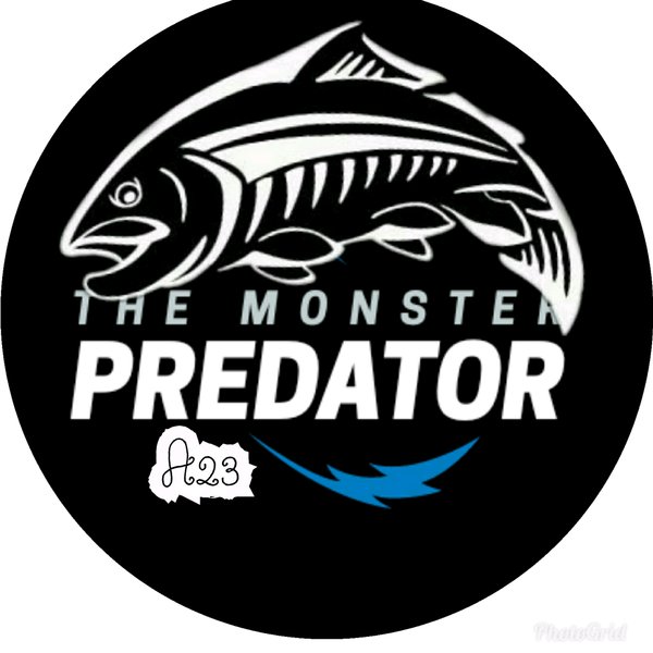 Detail Logo Ikan Predator Koleksi Nomer 33 Detail Logo Ikan Predator Koleksi Nomer 33
