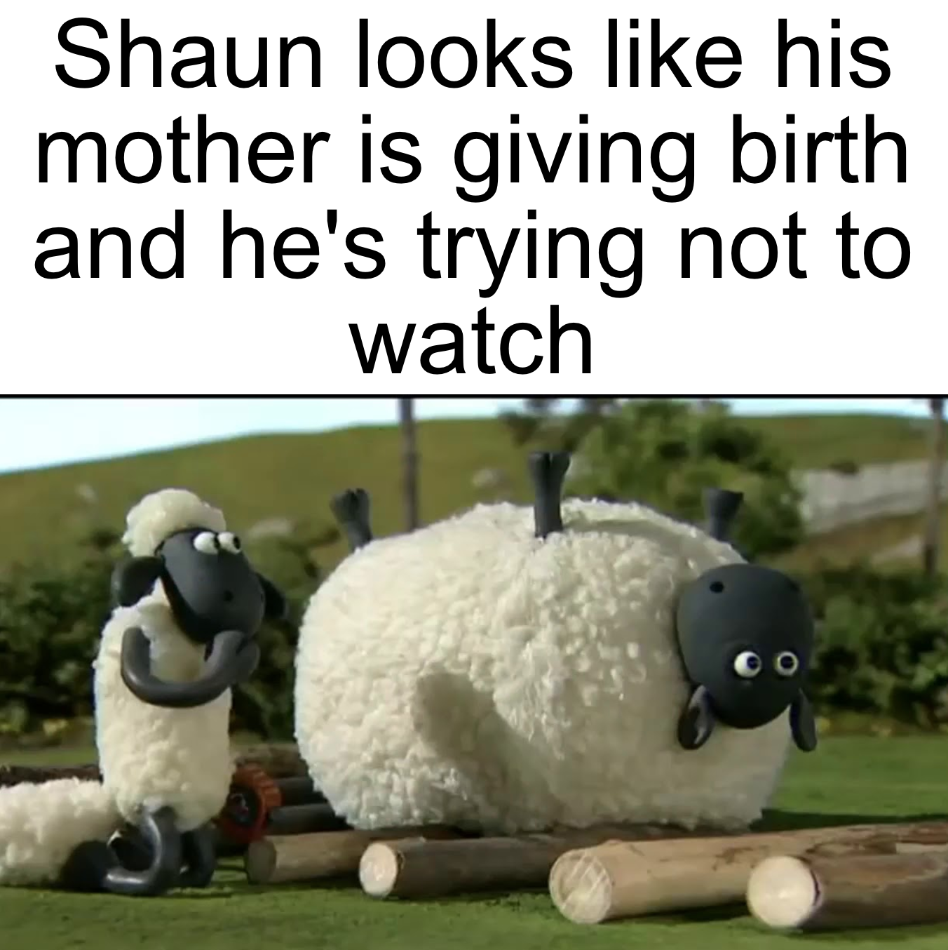 Detail Meme Shaun The Sheep Koleksi Nomer 14