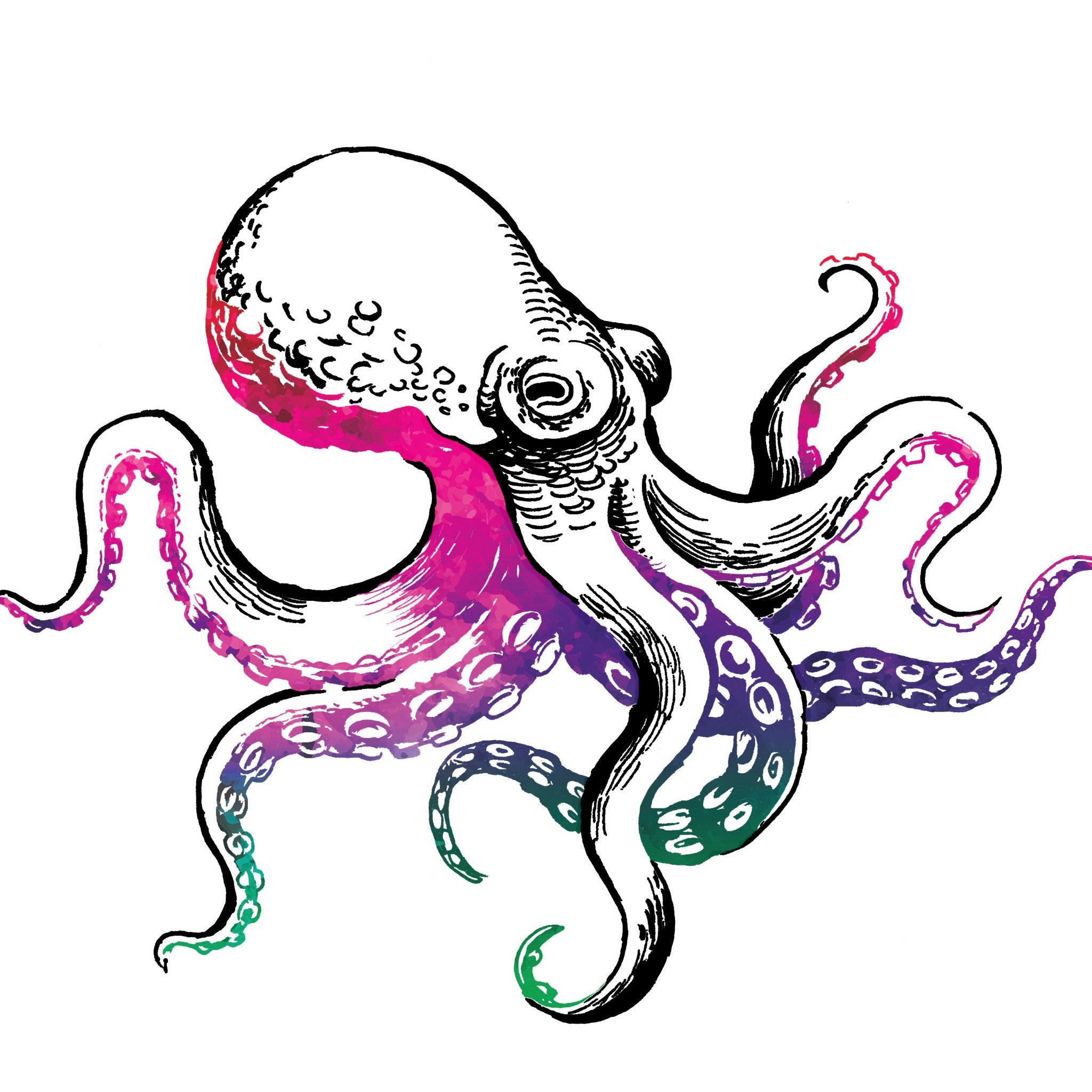 Detail Oktopus Skizze Koleksi Nomer 2