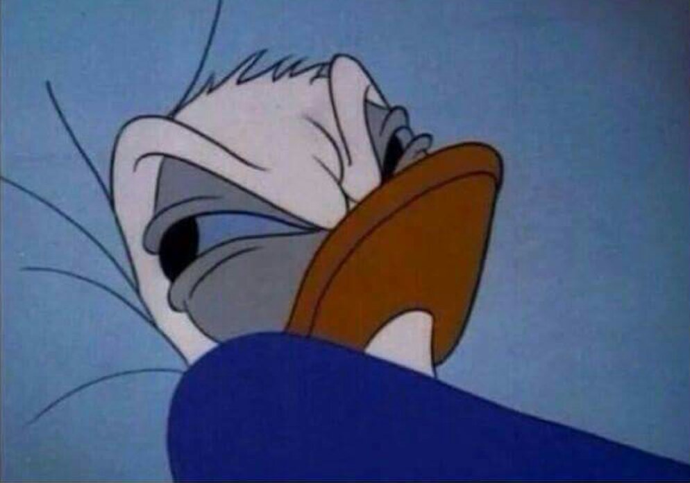 Detail Donald Duck Bed Meme Koleksi Nomer 4
