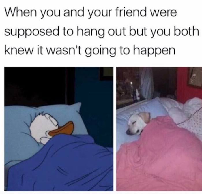 Detail Donald Duck Bed Meme Koleksi Nomer 31
