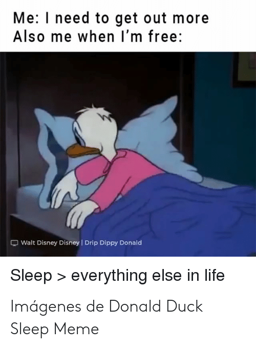 Detail Donald Duck Meme Bed Koleksi Nomer 46