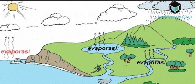 Detail Urutan Gambar Proses Terjadinya Hujan Koleksi Nomer 23 Detail Urutan Gambar Proses Terjadinya Hujan Koleksi Nomer 23