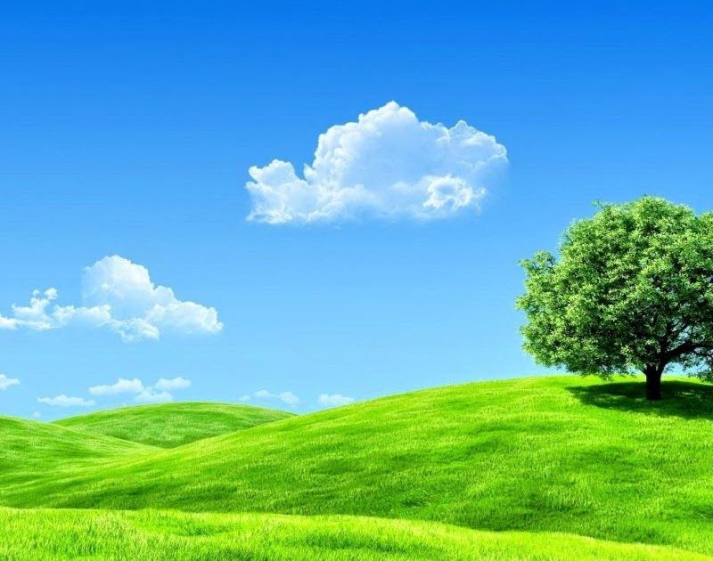Detail Wallpaper Hd Laptop Full Screen Koleksi Nomer 31 Detail Wallpaper Hd Laptop Full Screen Koleksi Nomer 31