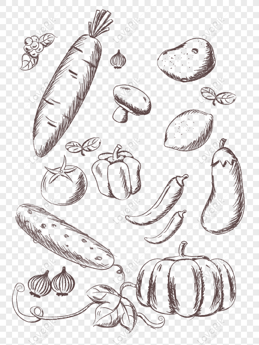 Detail Sketsa Buah Buahan 3d Koleksi Nomer 15 Detail Sketsa Buah Buahan 3d Koleksi Nomer 15