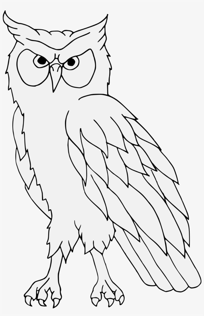 Sketsa Gambar Burung Hantu - 54+ Koleksi Gambar Sketsa Gambar Burung Hantu - 54+ Koleksi Gambar