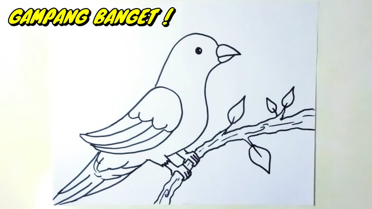 Sketsa Gambar Burung Yang Paling Mudah - 56+ Koleksi Gambar Sketsa Gambar Burung Yang Paling Mudah - 56+ Koleksi Gambar