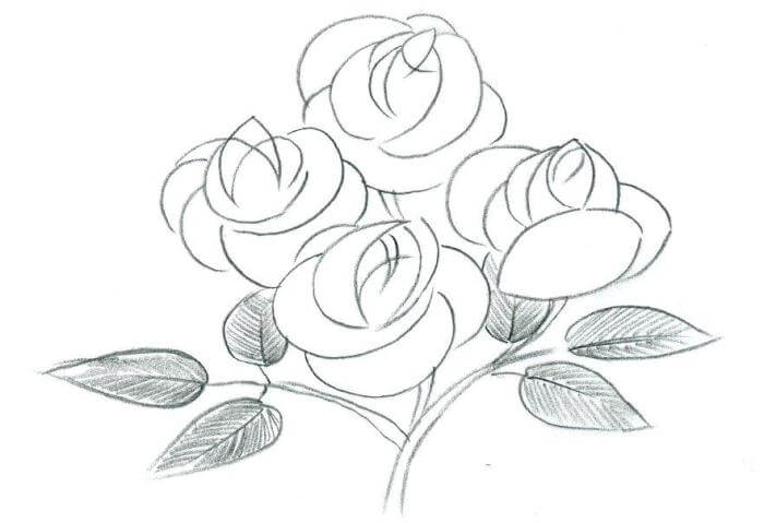 Detail Sketsa Gambar Gampang Koleksi Nomer 27 Detail Sketsa Gambar Gampang Koleksi Nomer 27
