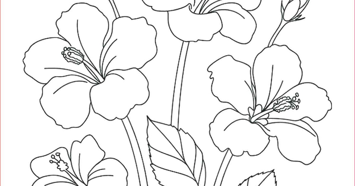 Detail Sketsa Gambar Kolase Tumbuhan Koleksi Nomer 38 Detail Sketsa Gambar Kolase Tumbuhan Koleksi Nomer 38