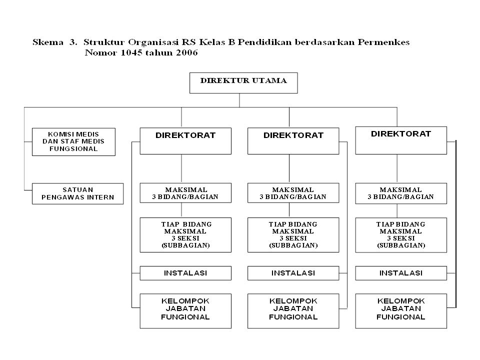 Struktur Organisasi Rumah Sakit Tipe B - 42+ Koleksi Gambar Struktur Organisasi Rumah Sakit Tipe B - 42+ Koleksi Gambar