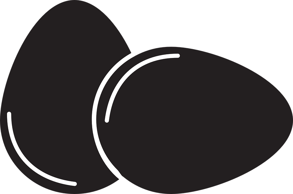 Telur Vector Png 54 Koleksi Gambar