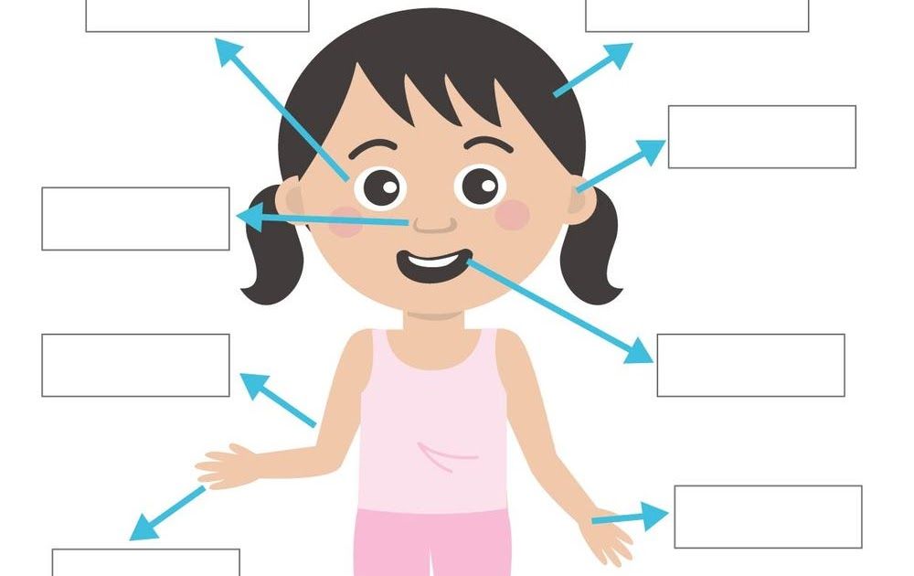 Bagian Tubuh Manusia Kartun - 51+ Koleksi Gambar Bagian Tubuh Manusia Kartun - 51+ Koleksi Gambar
